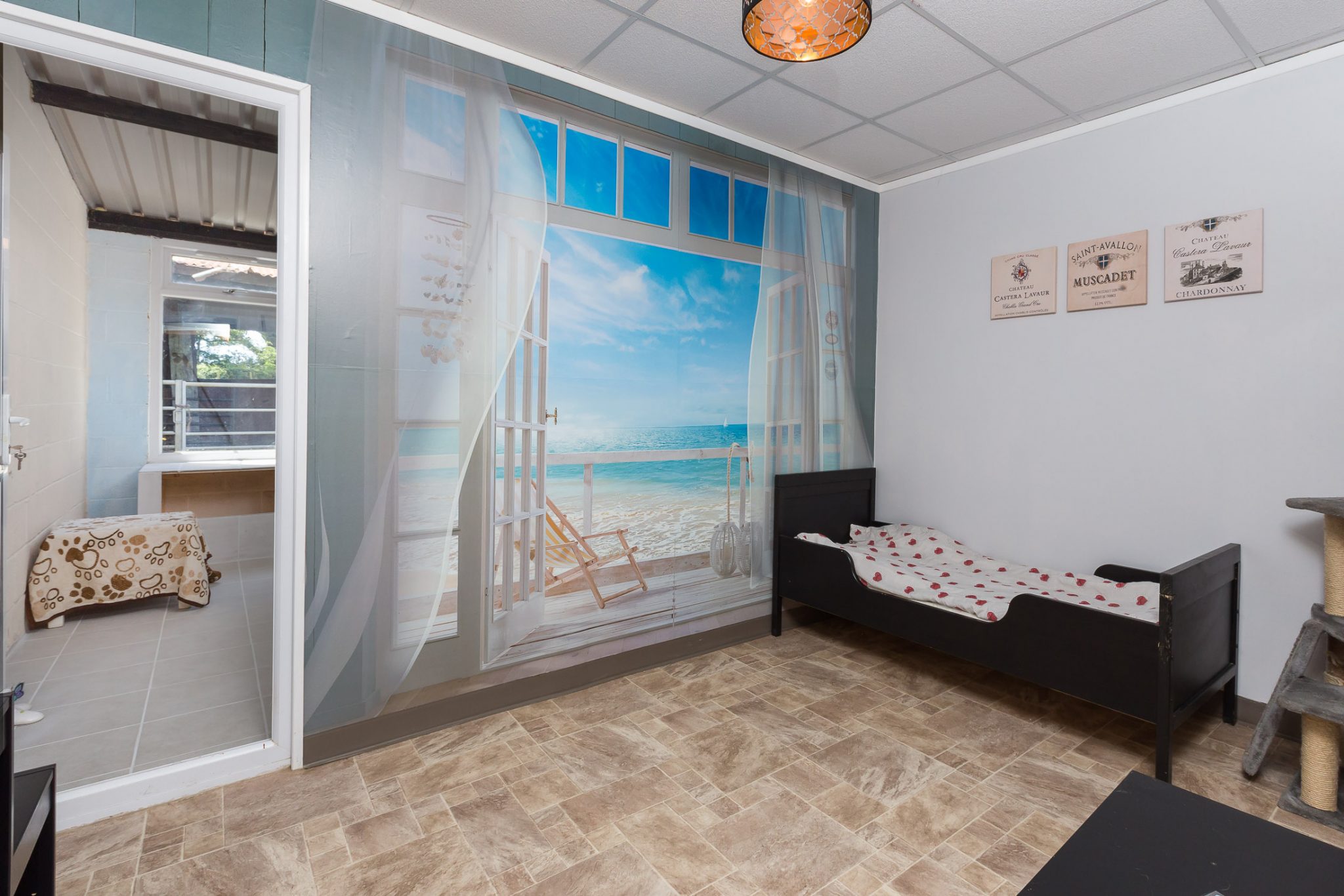 Welcome to the Malibu Suite – HOTEL CAT | Luxury cattery Hampshire ...